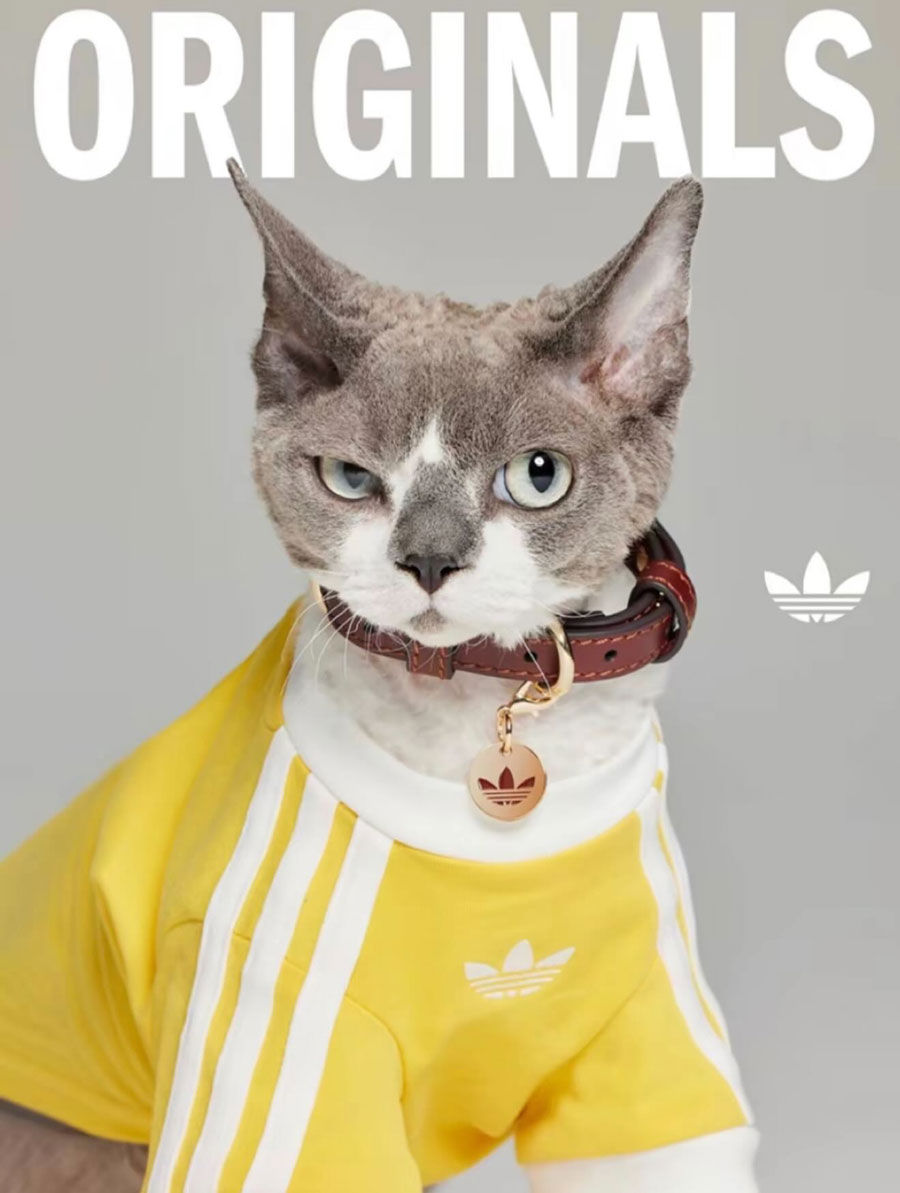 adidas Originals has a Pet Collection – PrestigeOnline Singapore