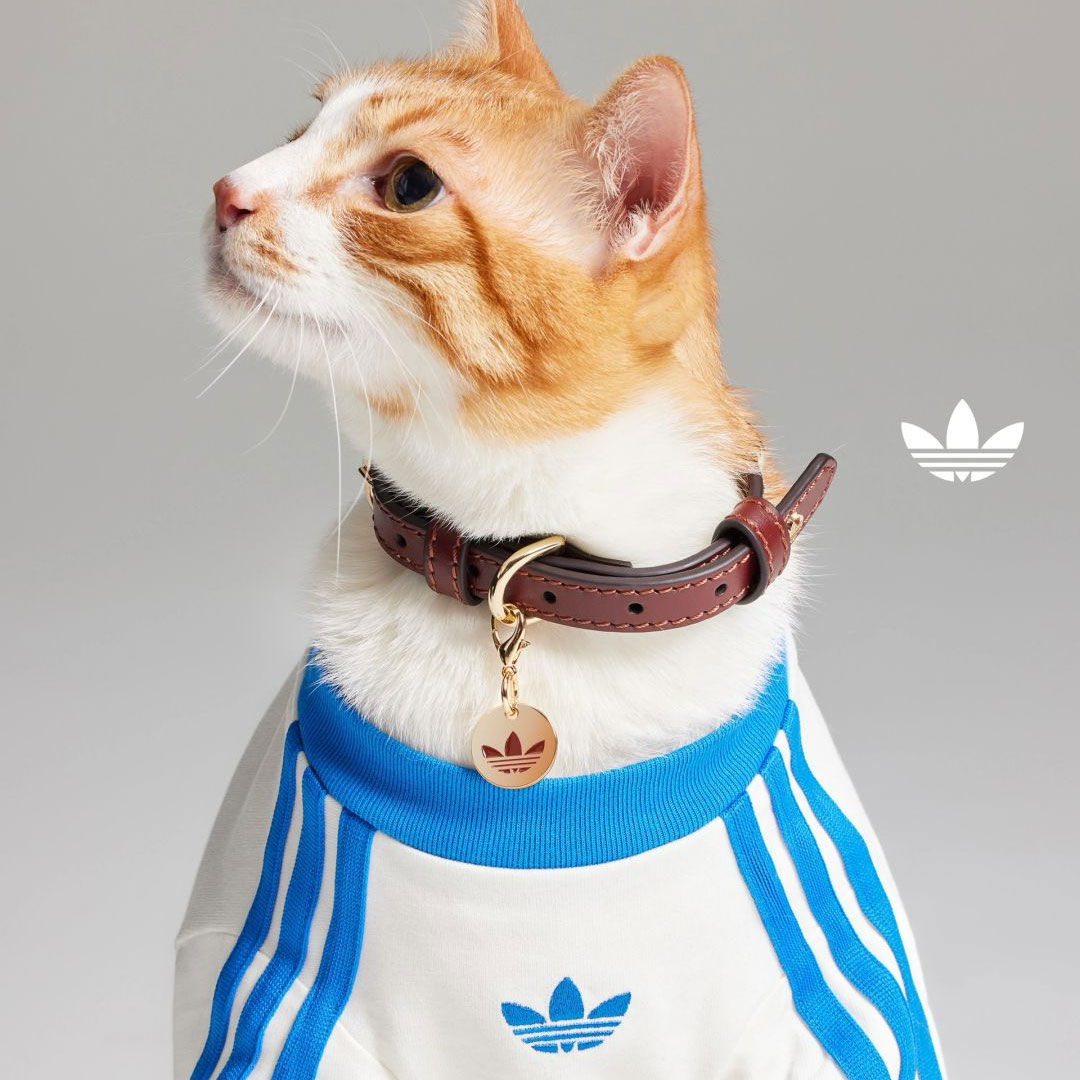 adidas Originals has a Pet Collection – PrestigeOnline Singapore