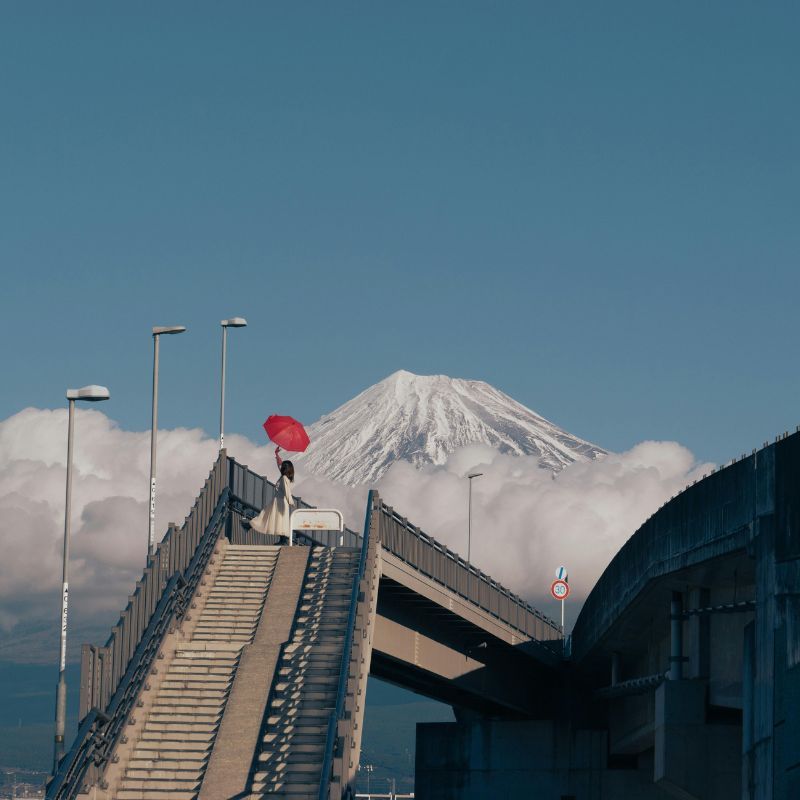 Mt Fuji Dream Bridge becomes victim of overtourism in Japan ...