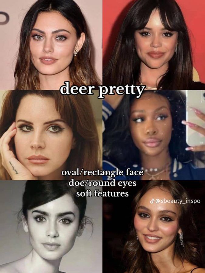 TikTok beauty trends: Are you cat, fox, deer, or bunny pretty?