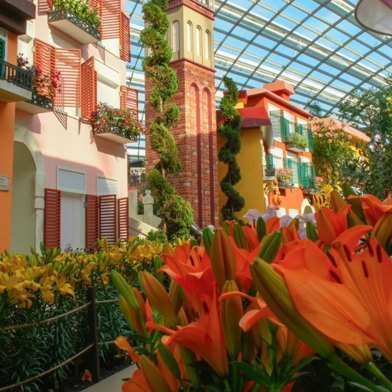 Lilytopia: Watch lilies bloom at Gardens By The Bay's Italy-themed show ...