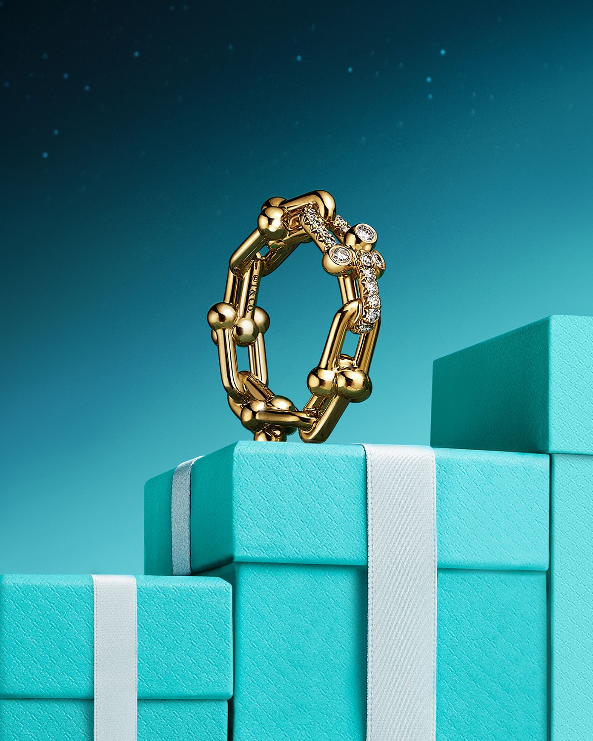 5 Tiffany & Co must-haves on your wish list this holiday season ...