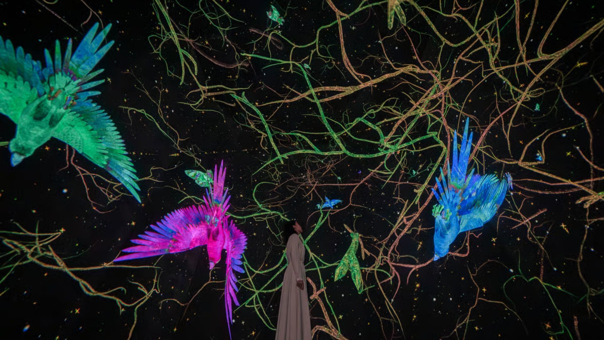 Which TeamLab should you visit in Japan: Tokyo, Osaka, or Kyoto ...