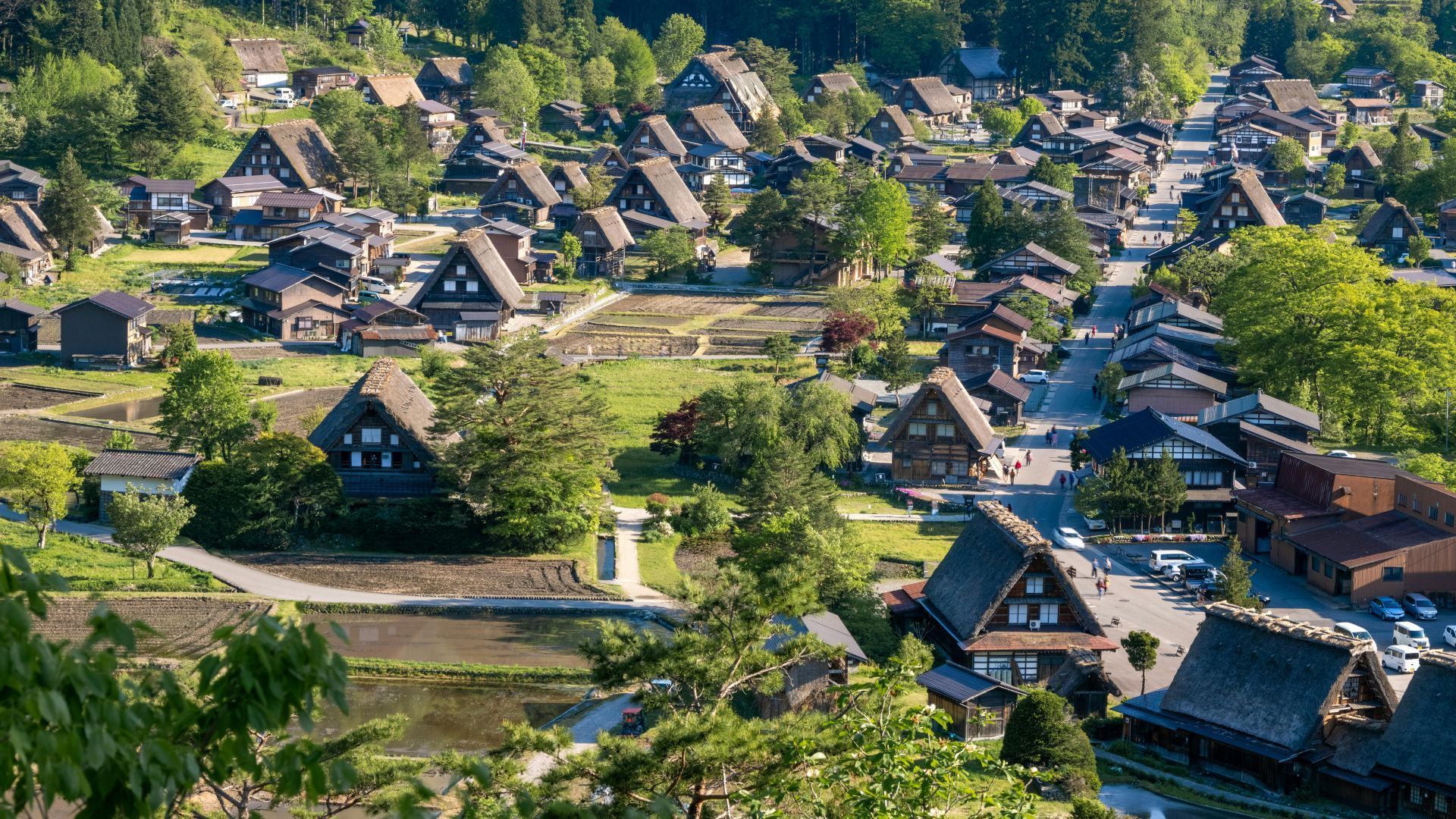 Japan hikes visitor tax and hotel levies to tackle overtourism ...