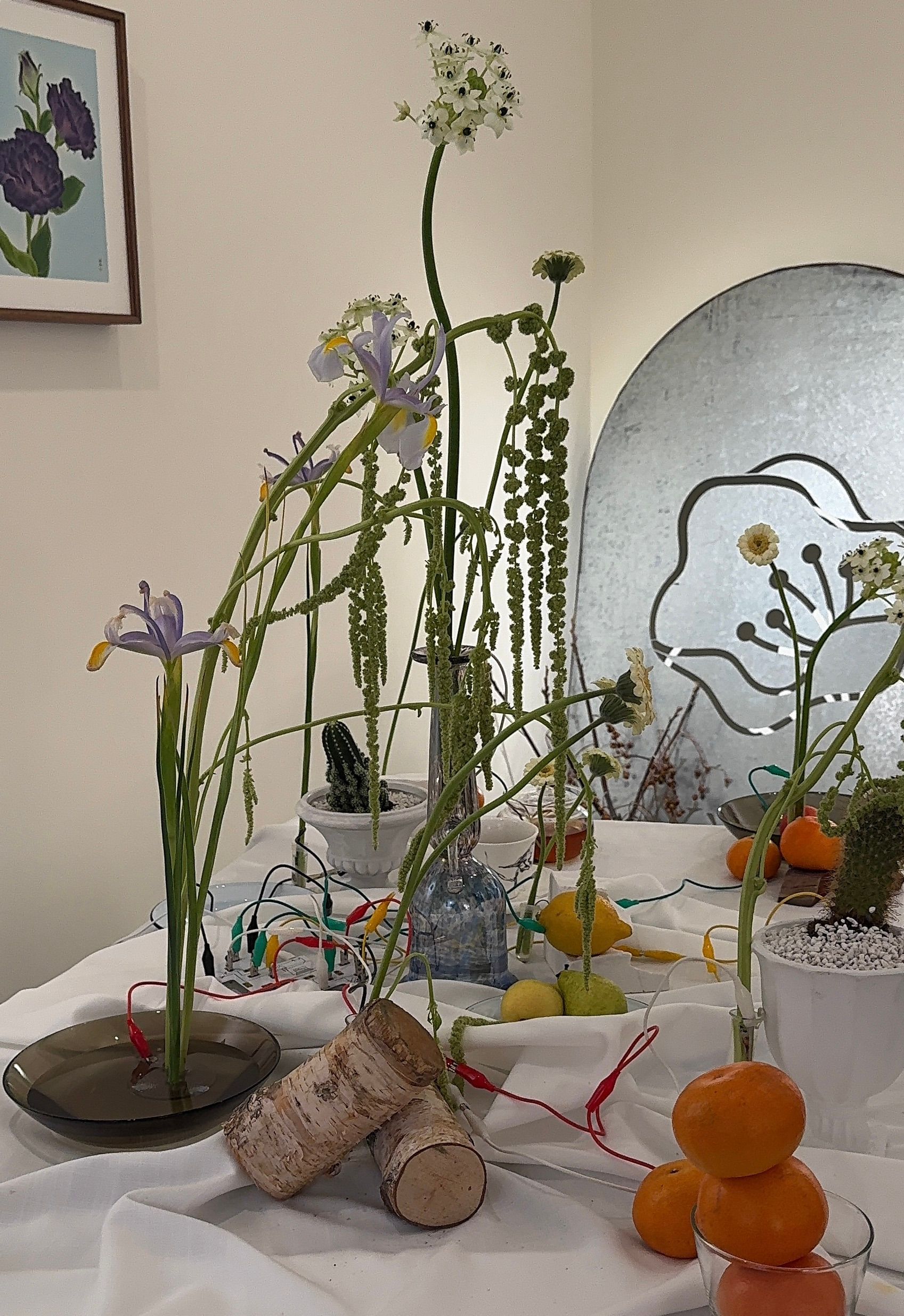 Hiro Hiro Art Space《 甦醒的節奏 Awakening》感受自然與生命的律動，帶你一起迎接春天的到來！ | Prestige Online - Taiwan