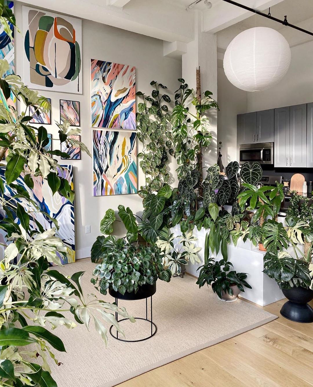 4 Instagram Accounts to Follow if You Absolutely Adore Plants