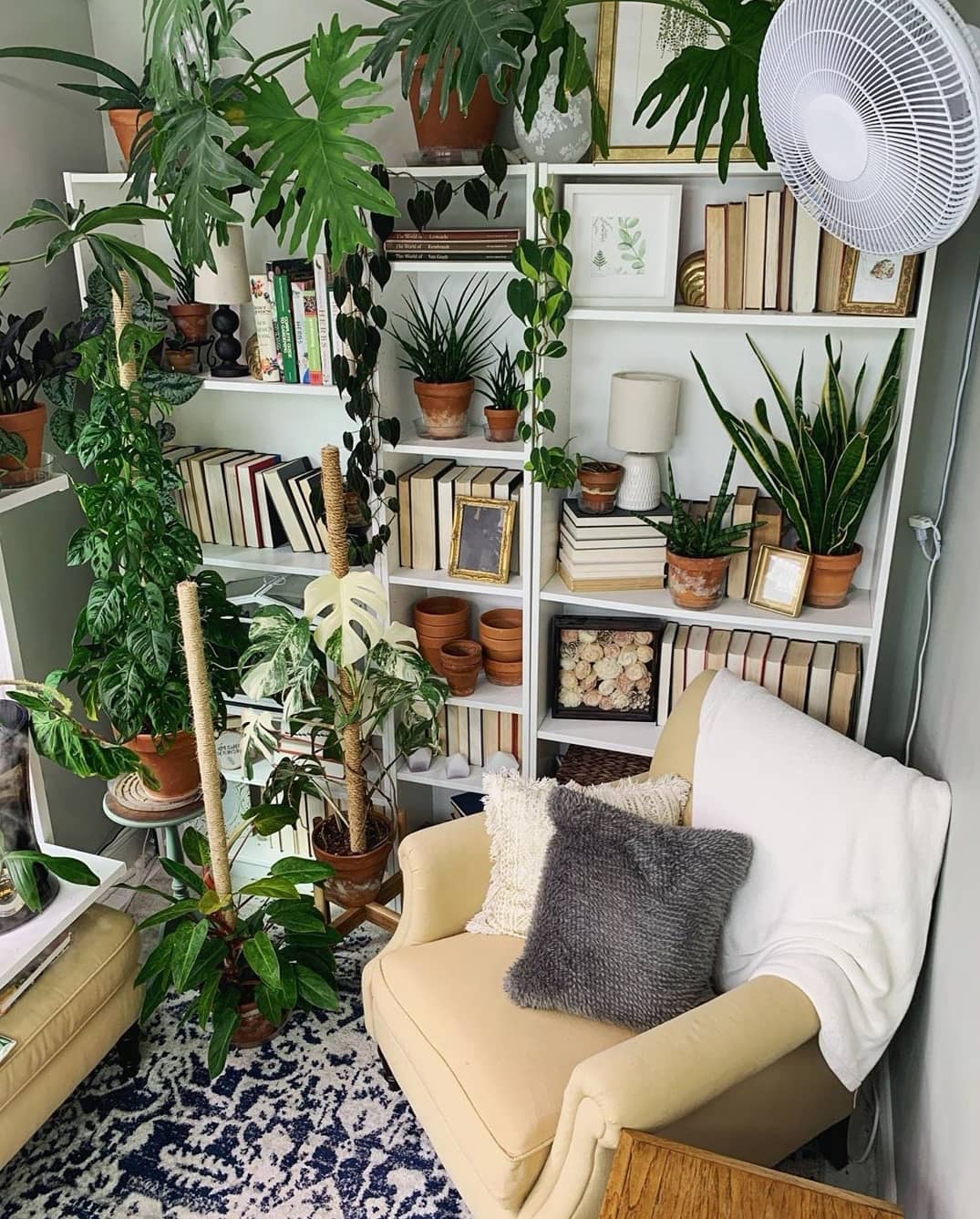 4 Instagram Accounts to Follow if You Absolutely Adore Plants