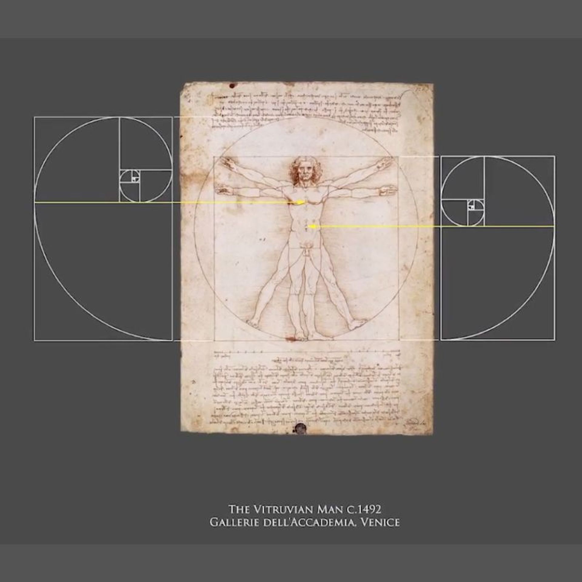 Arty Facts: Exploring the Divine Proportions of the Golden Mean