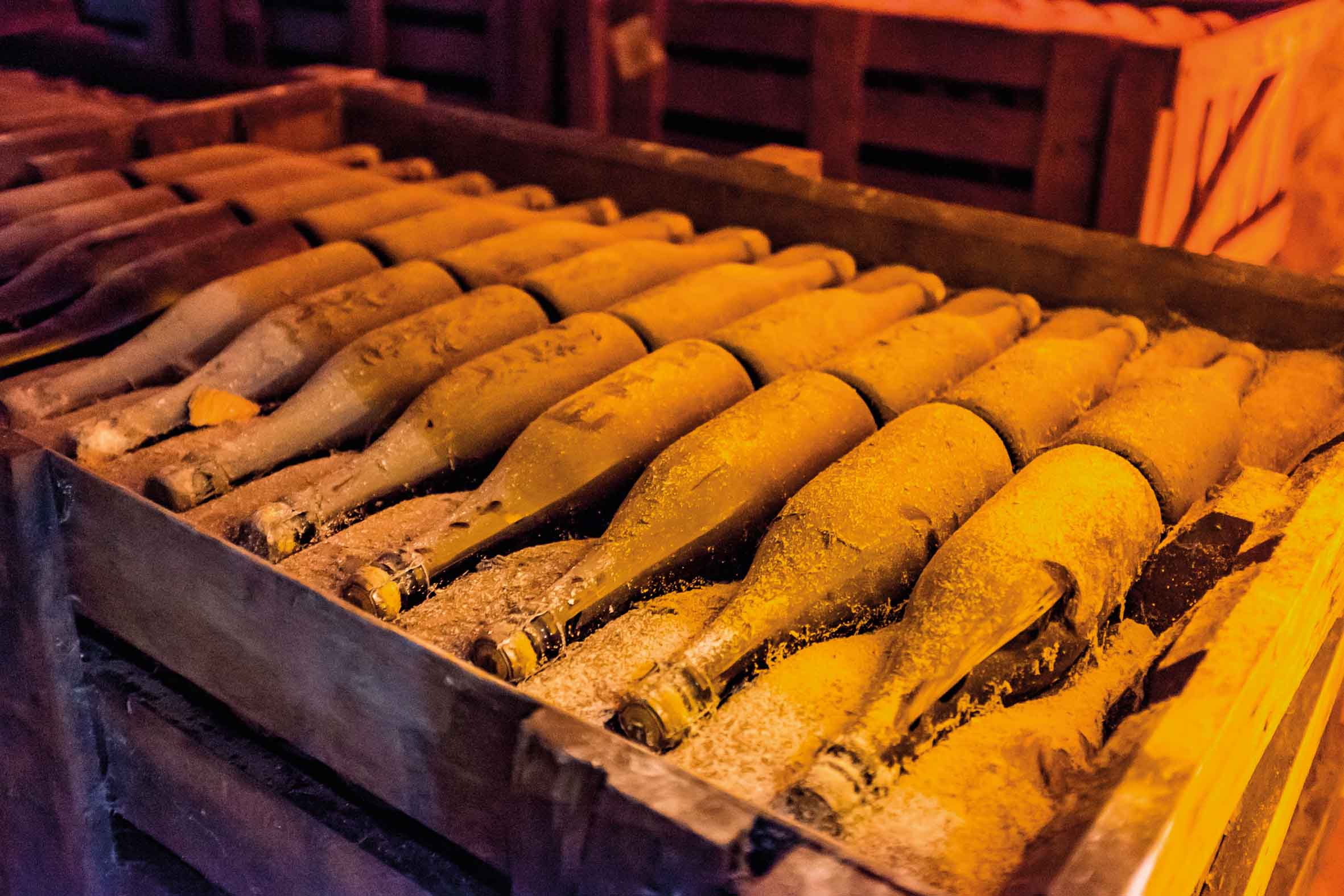 Discover the World of Champagne and One of France's Best Wine Region