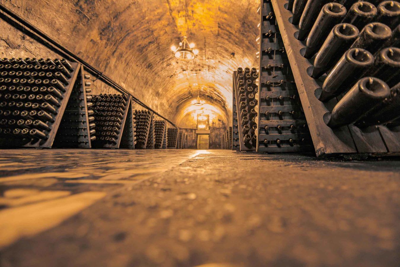 Discover the World of Champagne and One of France's Best Wine Region