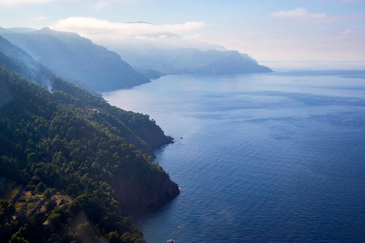 Rolex's Perpetual Planet Initiative to Preserve Ocean Ecosystems