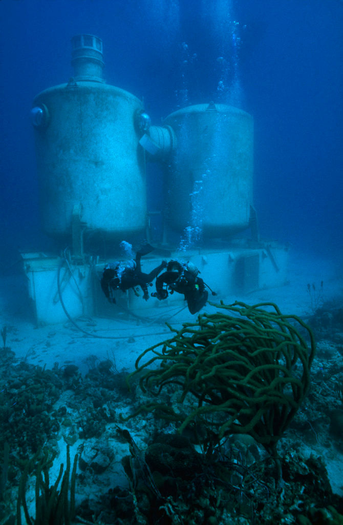 Rolex's Perpetual Planet Initiative to Preserve Ocean Ecosystems
