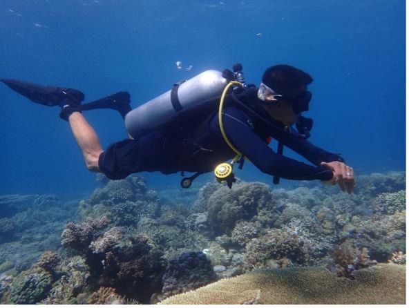 World Environment Day 2021: Marine Conservation Projects in Asia ...