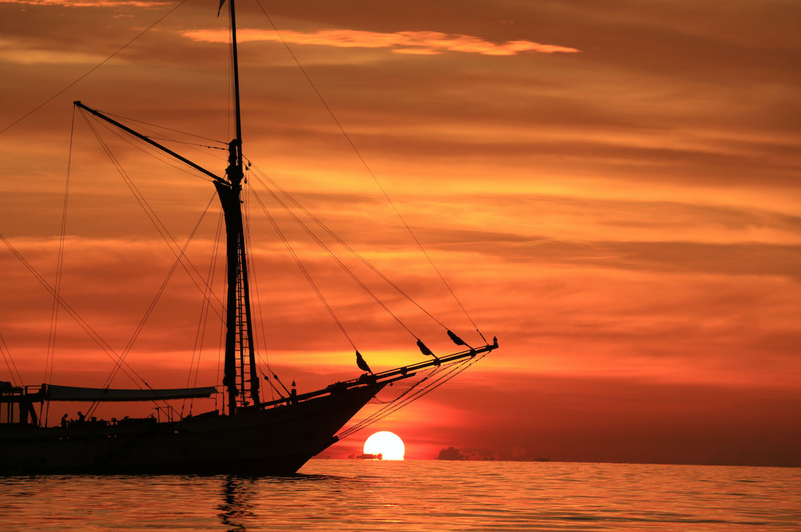 Dive into Nature with these Luxury VistaJet-to-Wild Experiences