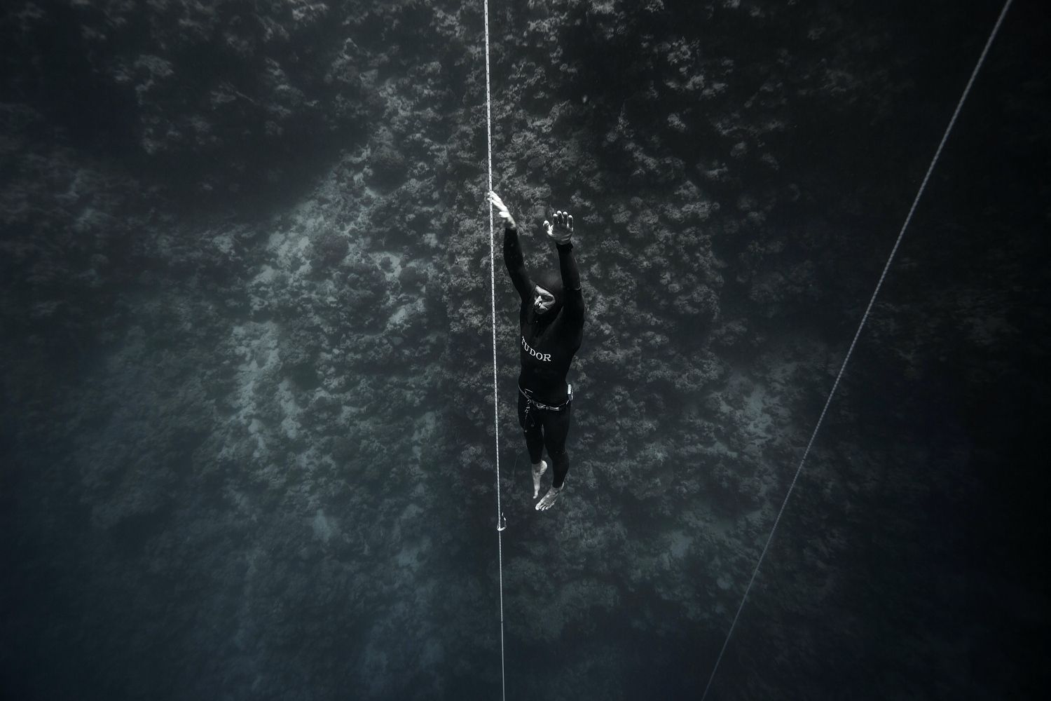 In Conversation: Freediver Morgan Bourc'his on Swimming with Whales
