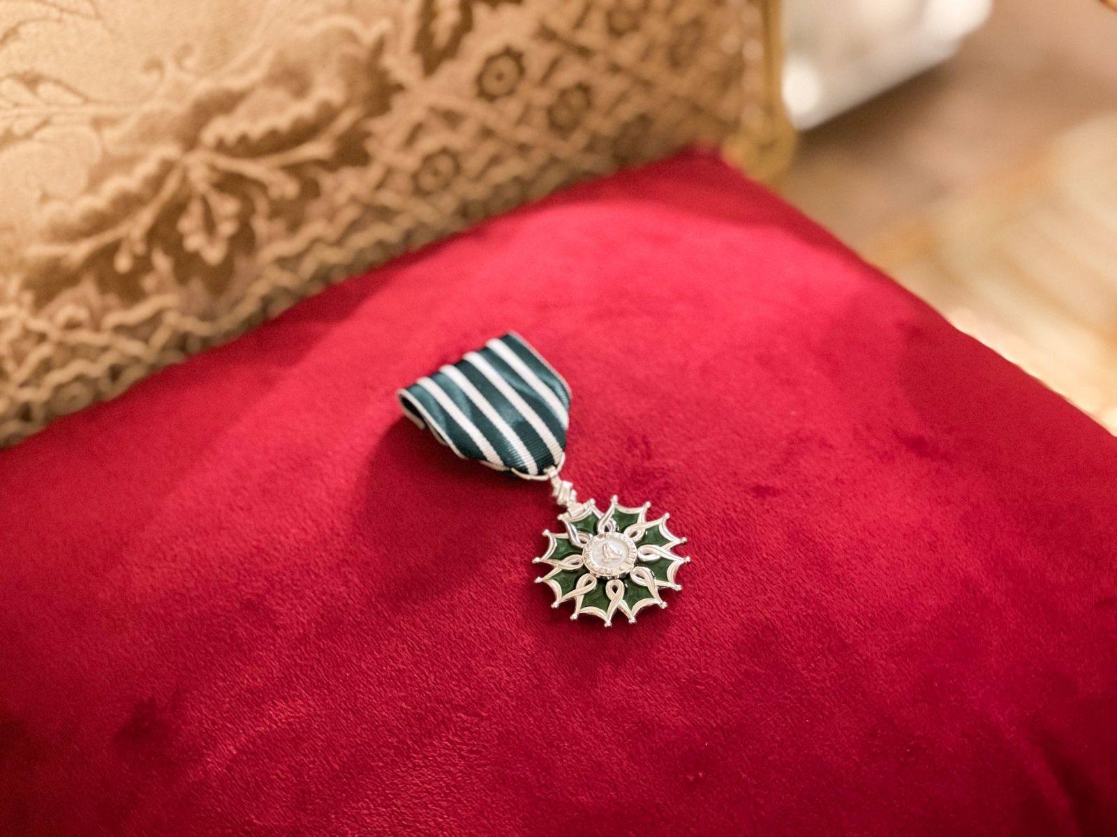 Cindy Chao Appointed as Chevalier dans l'Ordre des Arts et Lettres