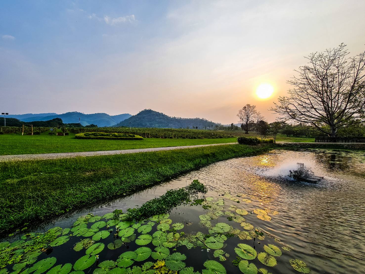 4 Vineyards and Wineries to Visit in Thailand | Prestige Online - Thailand
