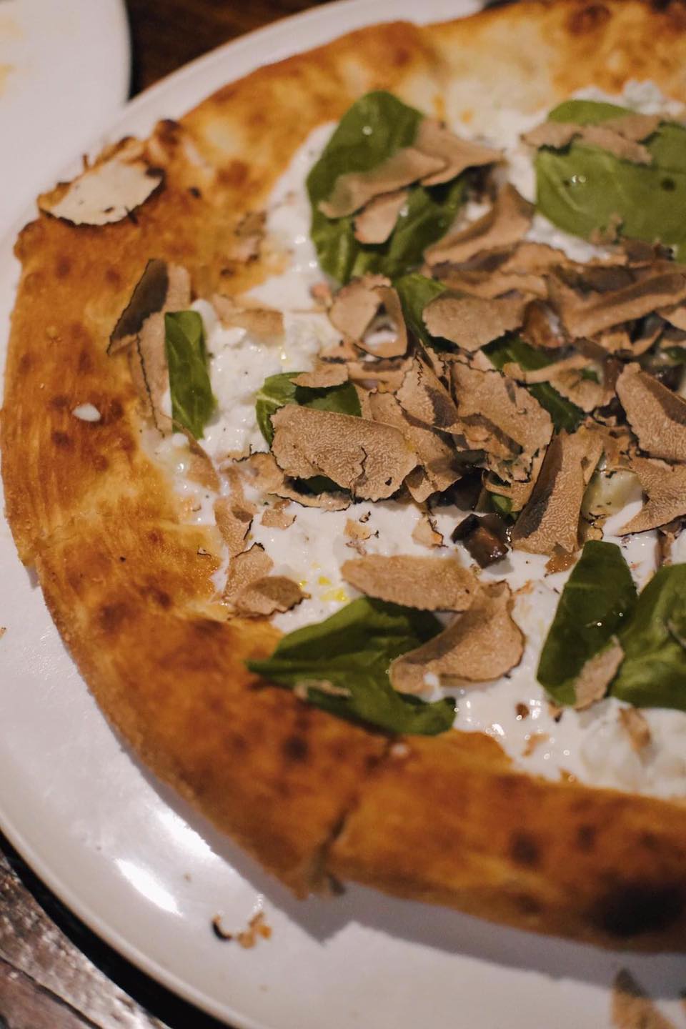 Where to Find the Best Truffle Pizza in Town