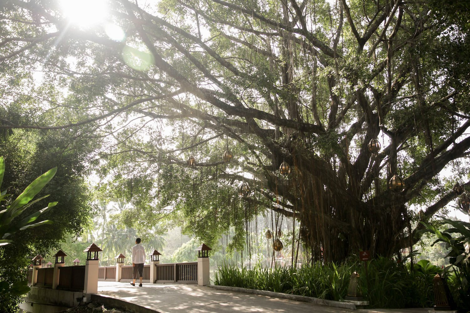 Check Into ‘Banyan Tree Veya’, a New Wellbeing Resort in Phuket