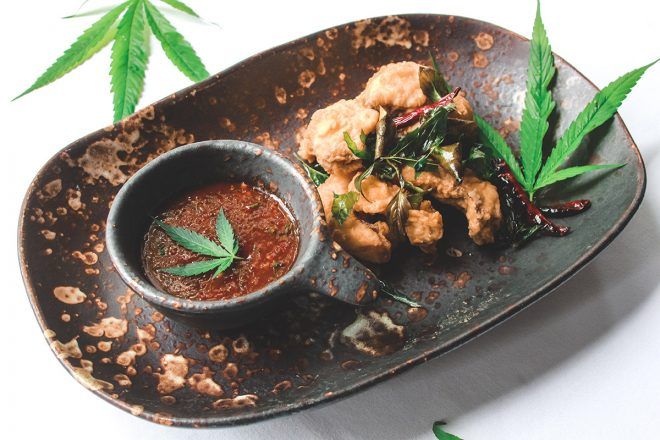 Legal Weed Creates a "Buzz" in Thailand's Wellness Industry