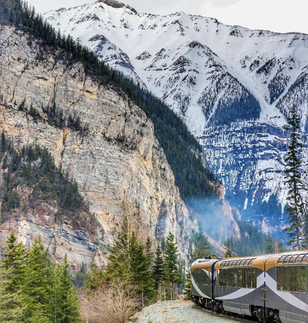 5 of the Best Luxury Train Travels in the World