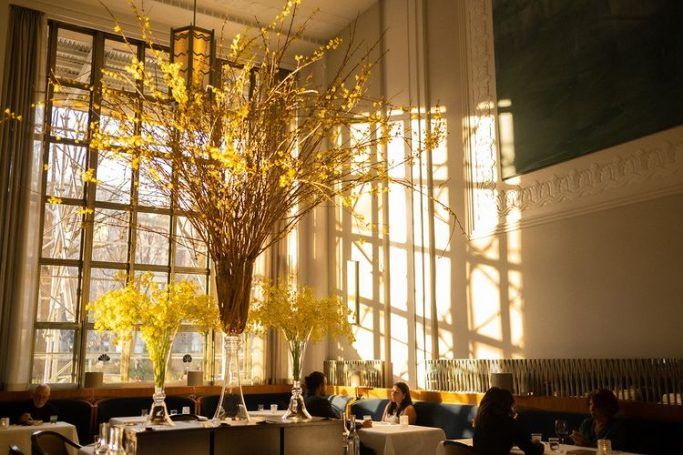 Eleven Madison Park and 6 Other Michelin-starred Vegan Restaurants