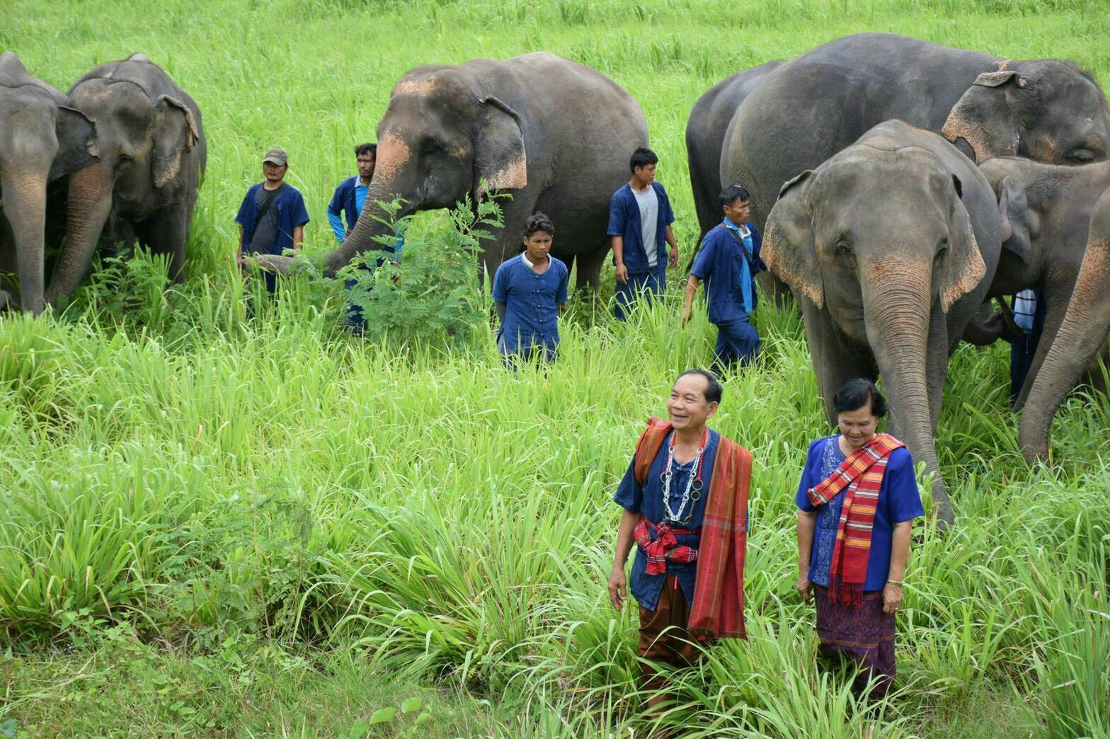 The Best Ethical Elephant Sanctuaries in Thailand