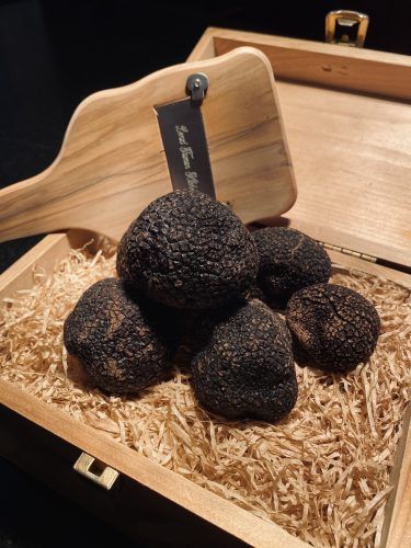 Where to Find the Best Black Truffle Dishes in Bangkok This Season