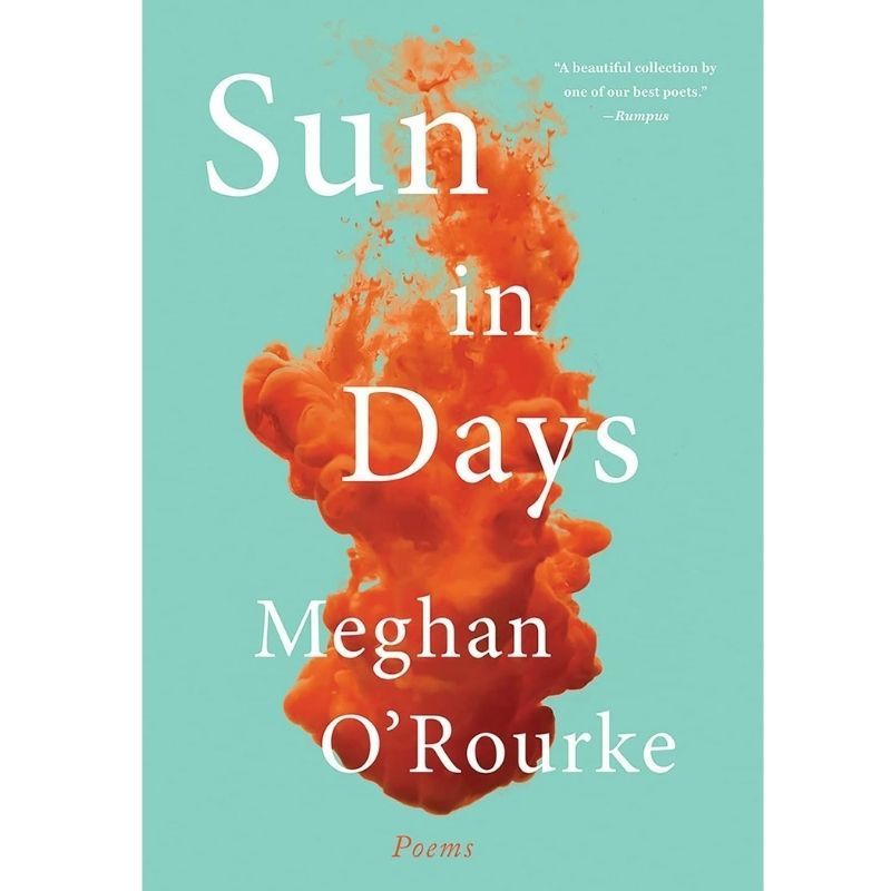 Top Poetry Book Picks by Celebrated Poets
