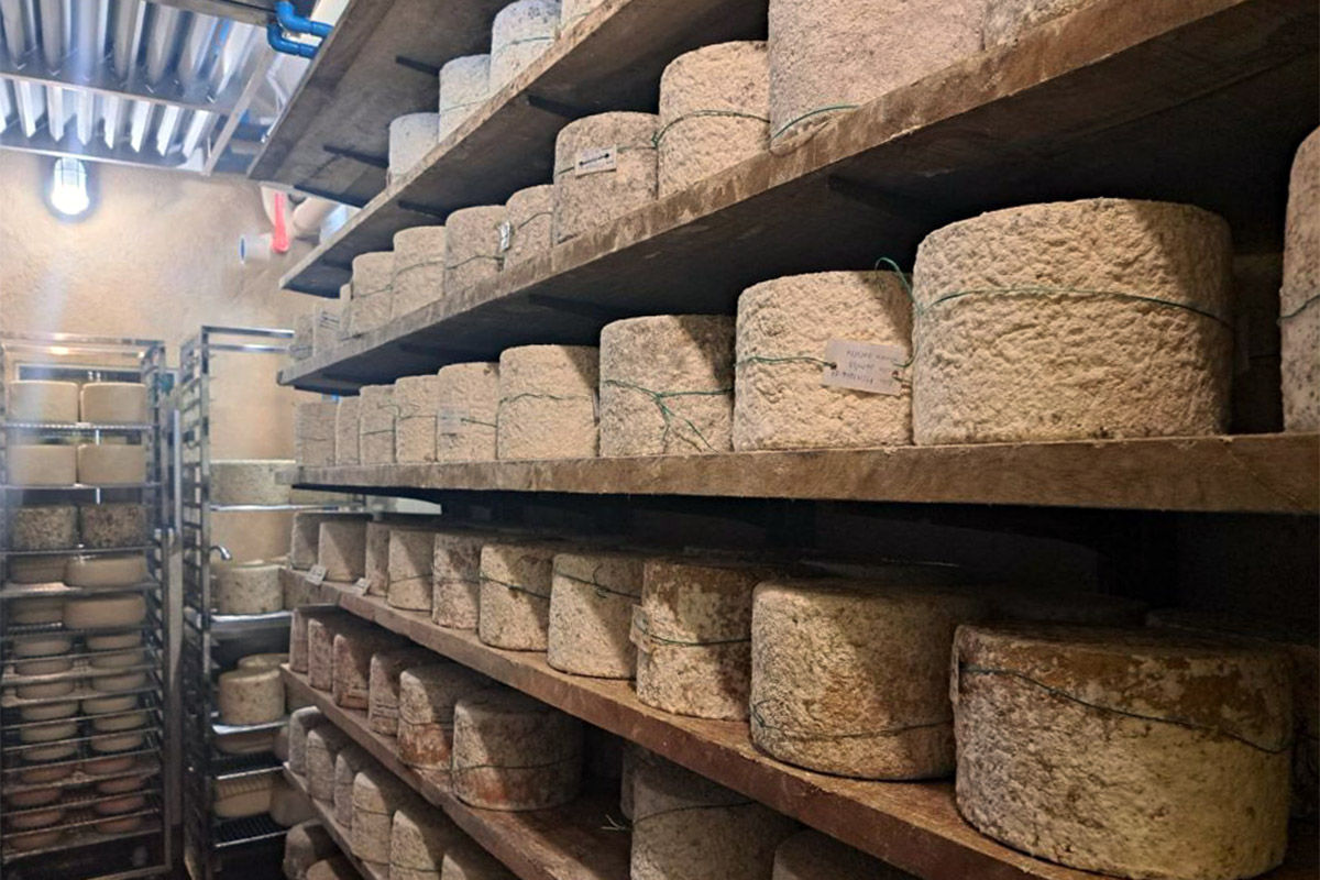 Artisans in Thailand: The Story of Jartisann Cheeserie