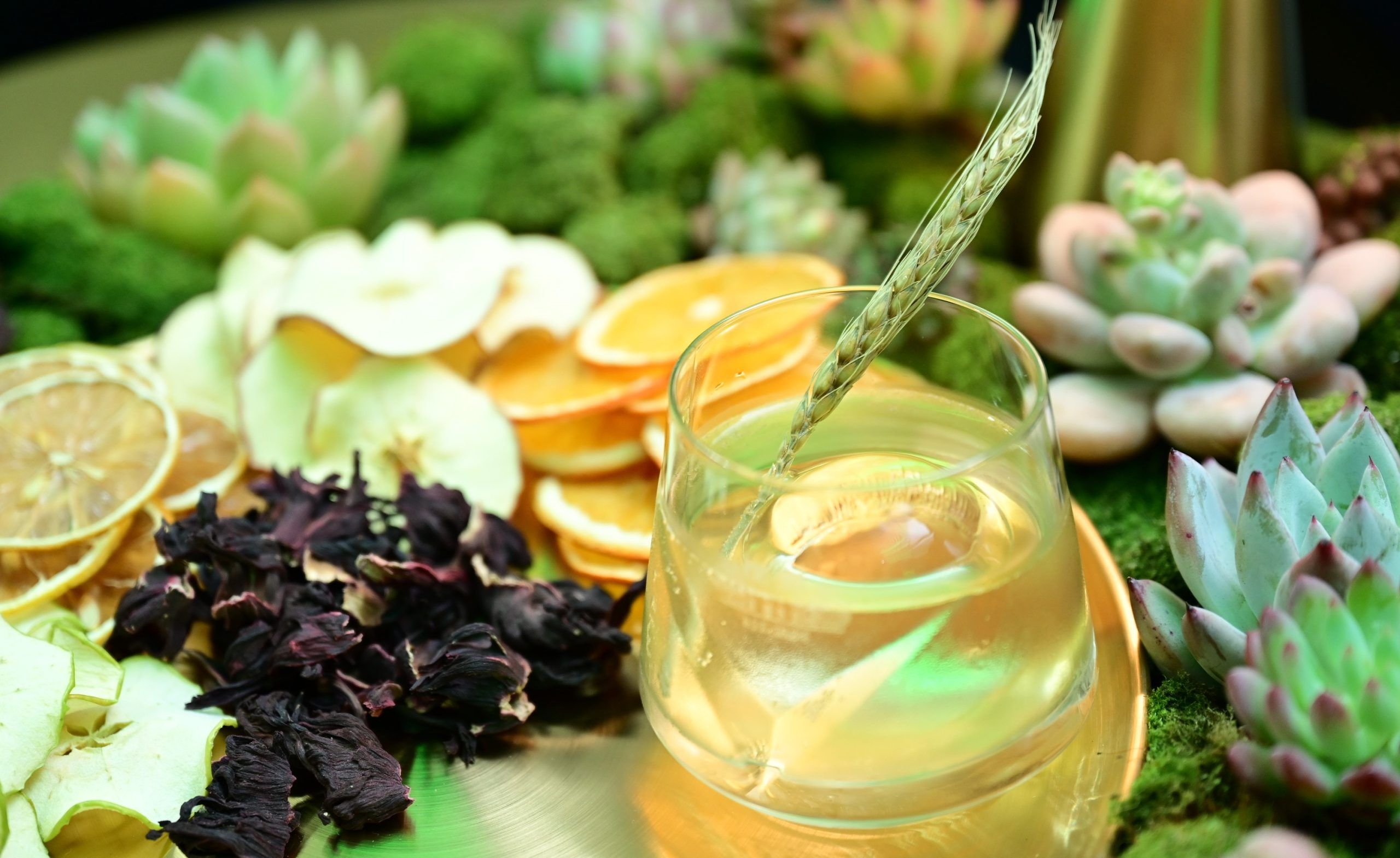 The Macallan Releases Collaborative Third Edition of The Harmony Collection