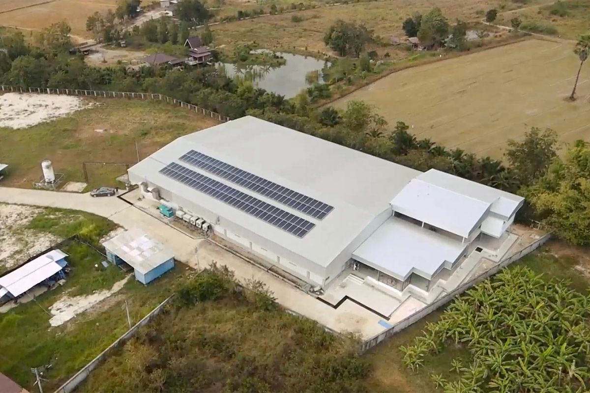 Artisans in Thailand: The Story of Thai Sturgeon Farm