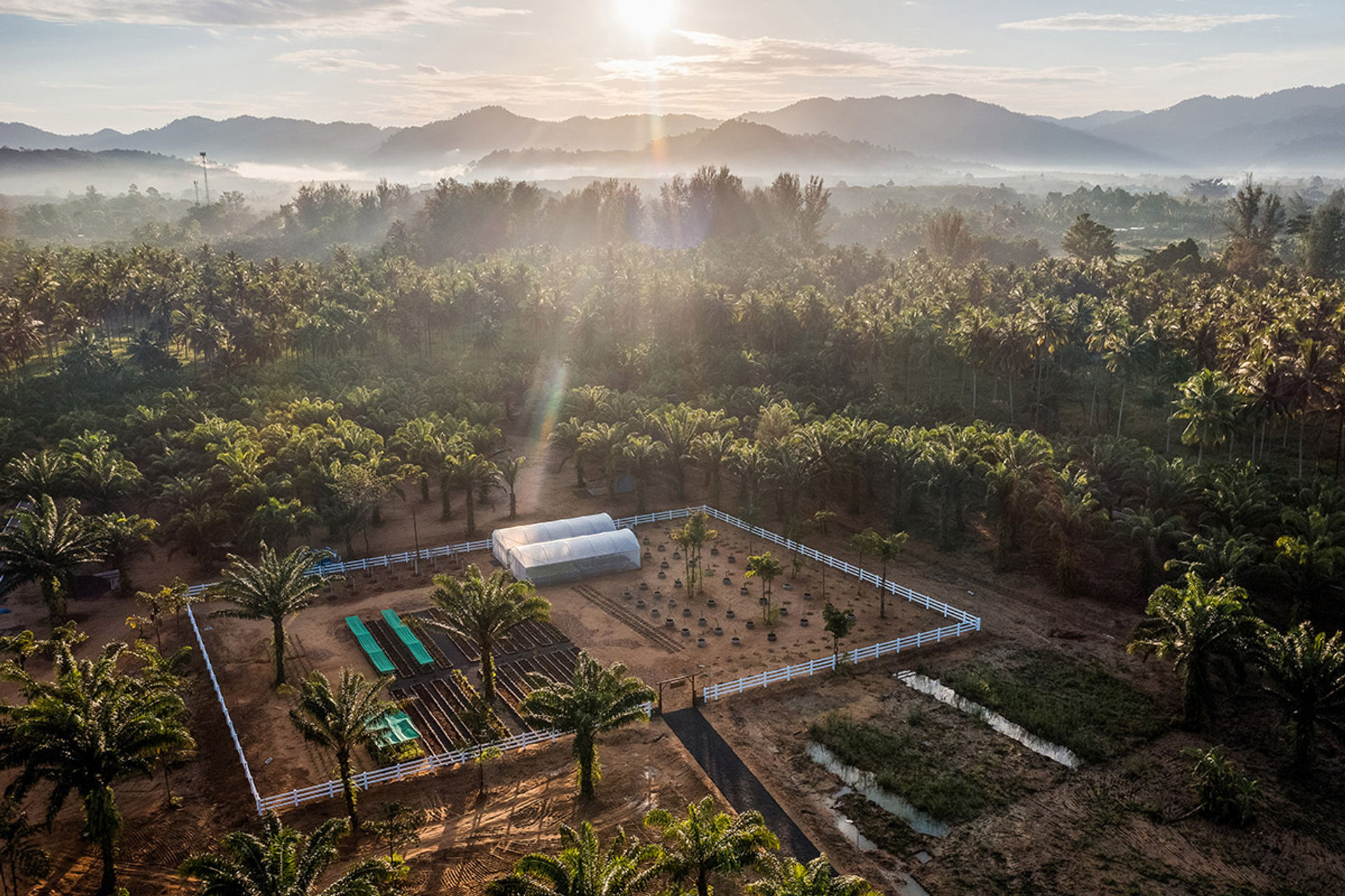 The JW Marriott Khao Lak Celebrates Sustainability with the Launch of ...