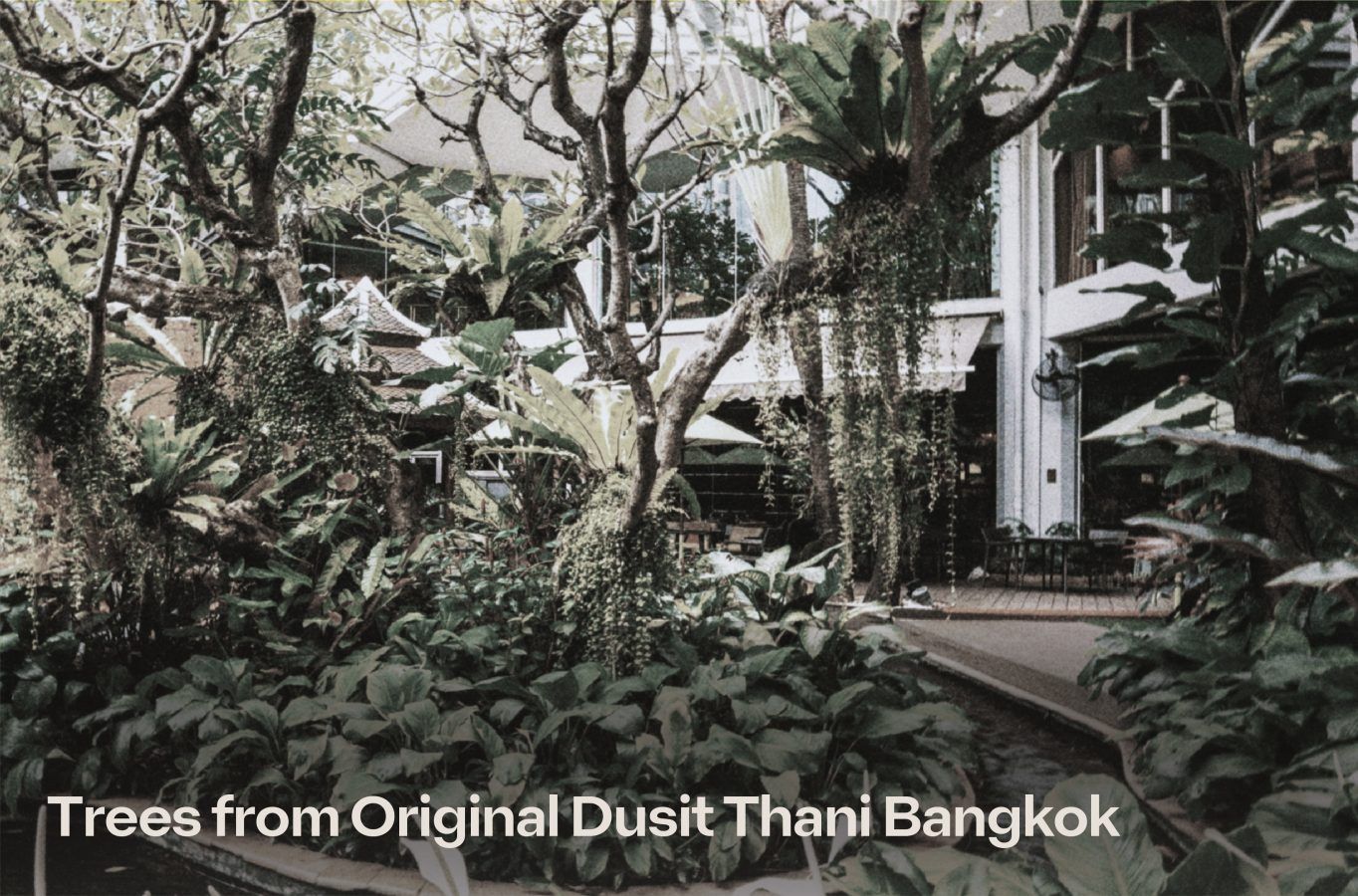 Dusit Thani Bangkok: The Nine Signature Elements Shaping the Property