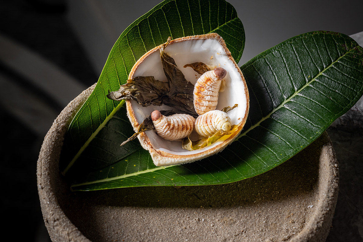 Hom Restaurant in Phuket Delivers a Flashy Fermentation Fine Dining Feast