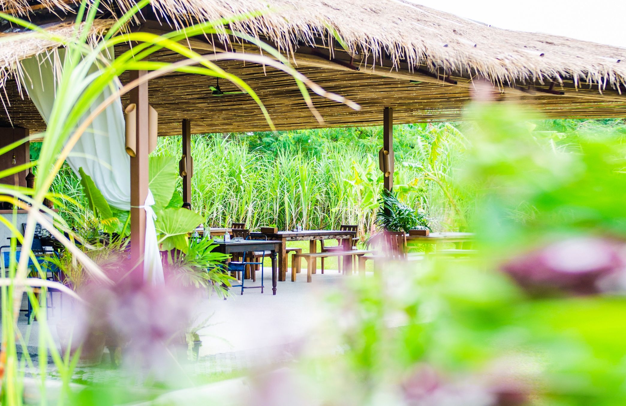 Artisans in Thailand: The Story of Chalong Bay Rum | Prestige Online ...