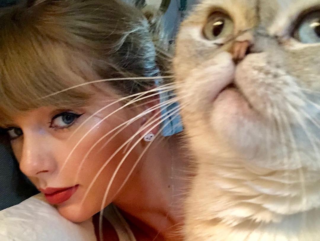 Some of the Most Iconic and Beloved Childless Cat Ladies