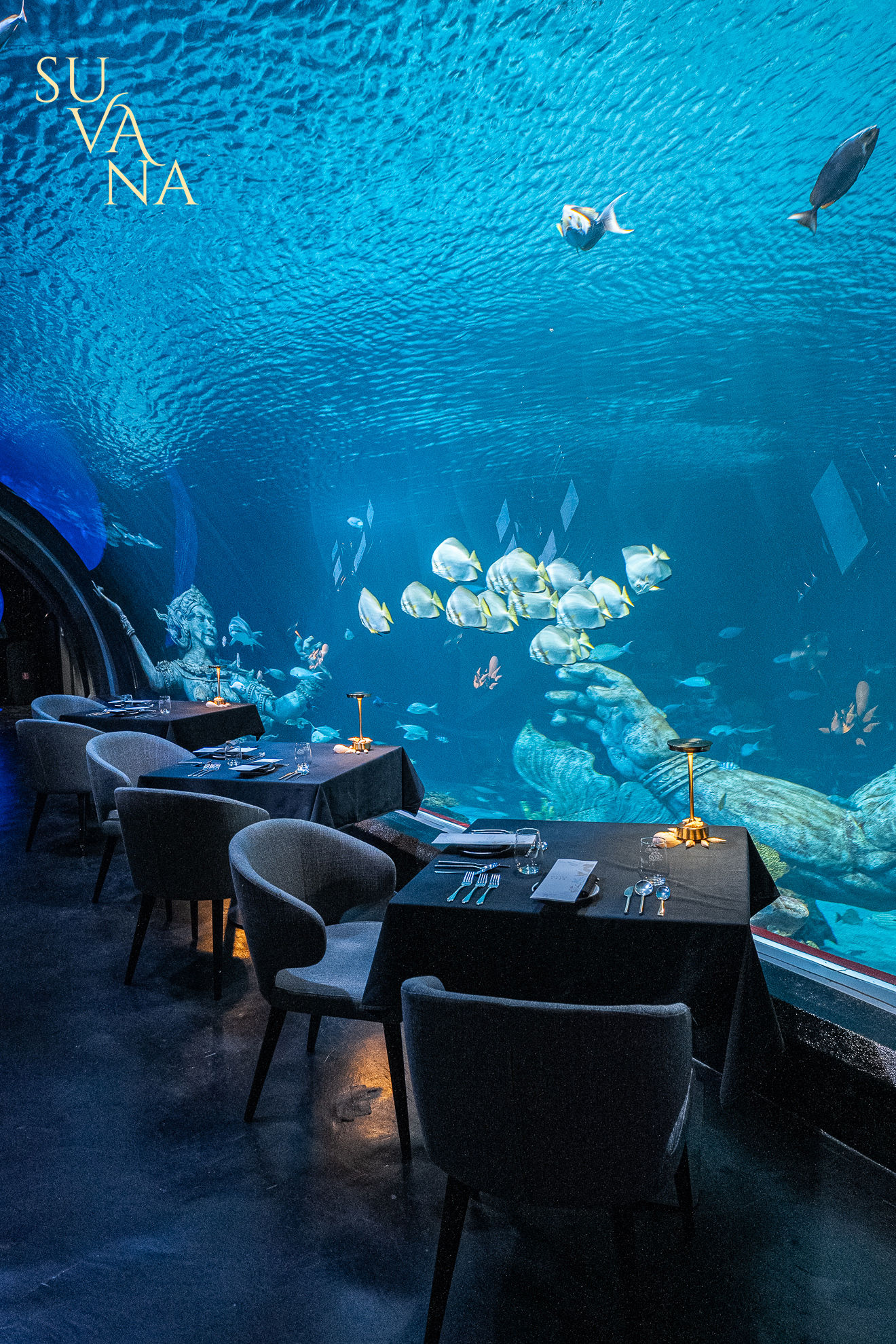 In Conversation with Dax Lee, the Accidental Restaurateur Behind Su Va ...