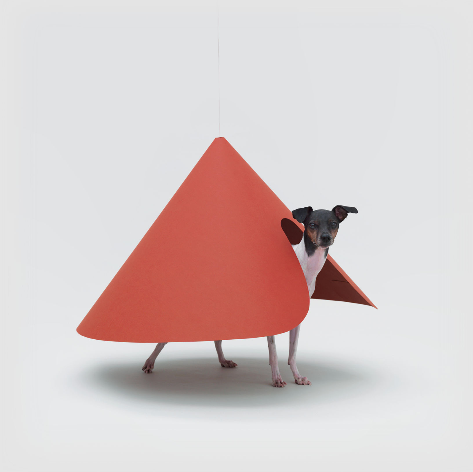 Dog Abodes: This Museum Exhibit Shows Off Architecture For Dogs