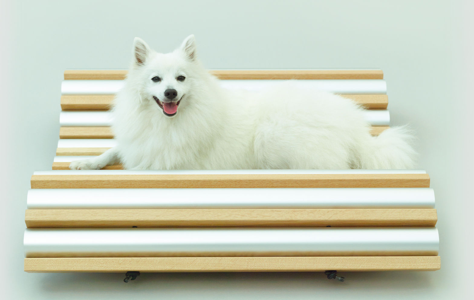 Dog Abodes: This Museum Exhibit Shows Off Architecture For Dogs