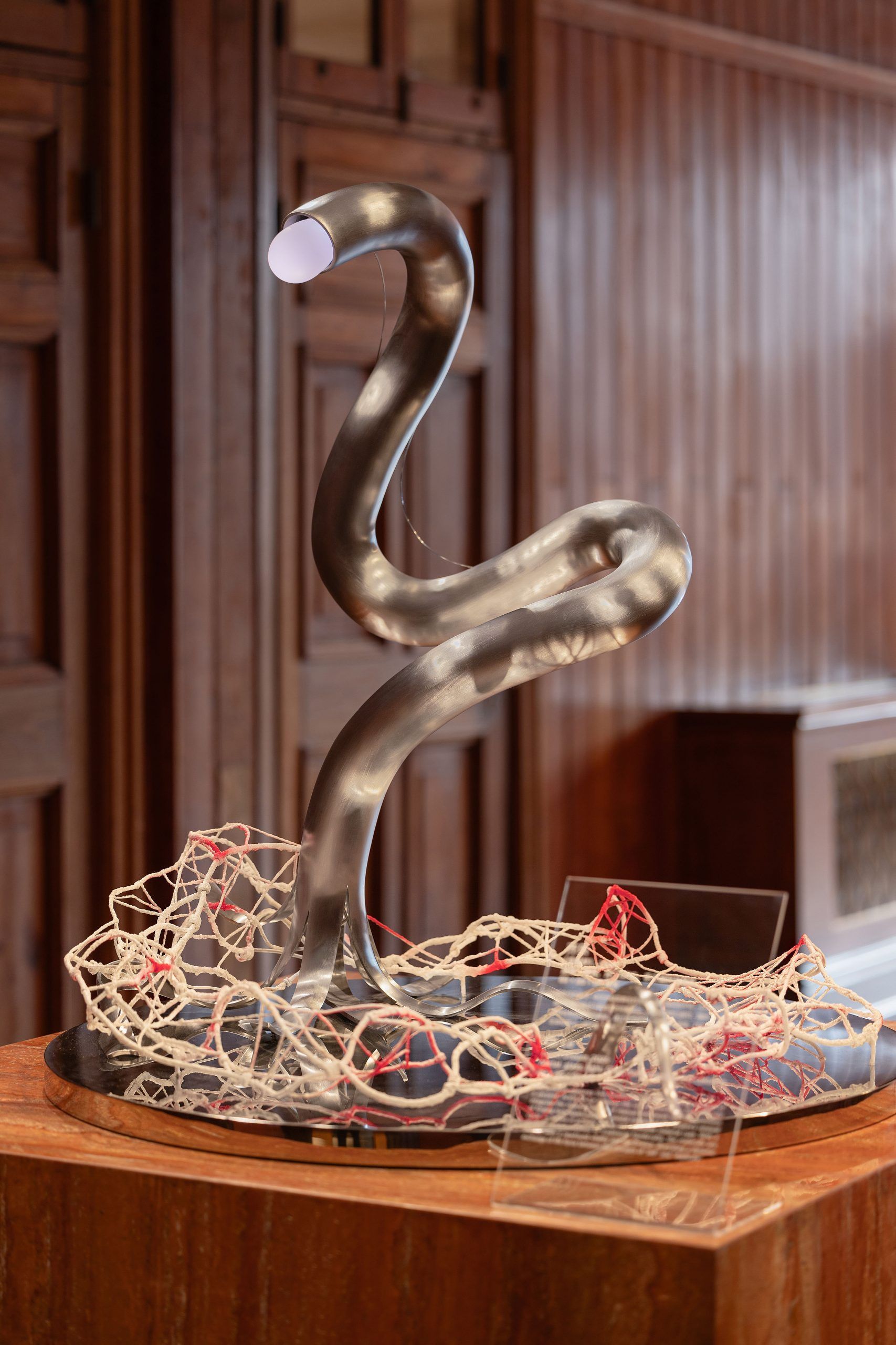 Bulgari Celebrates the Year of the Snake with ‘Serpenti Infinito ...