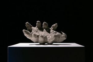 Who invented Labubu? Meet Hong Kong artist Kasing Lung