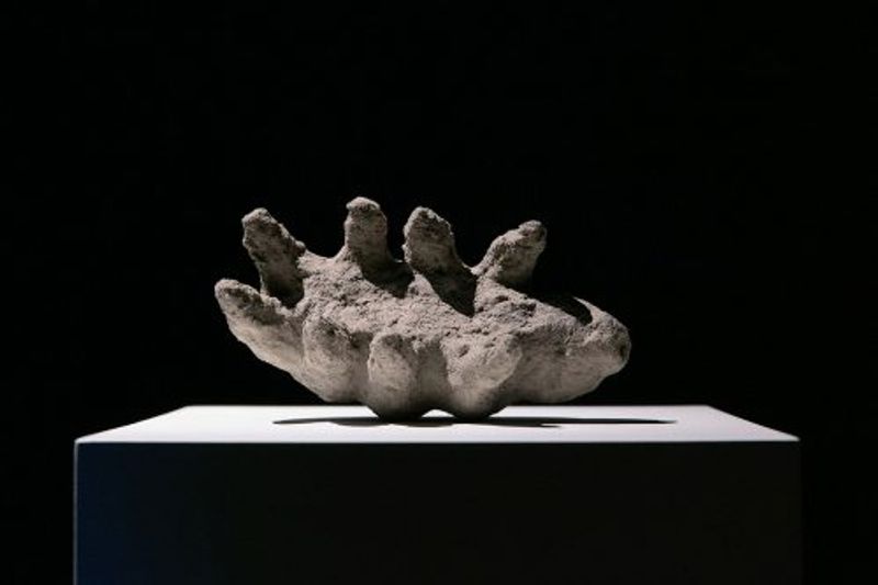 Who invented Labubu? Meet Hong Kong artist Kasing Lung