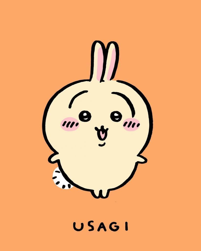 Things to know about Chiikawa and other characters