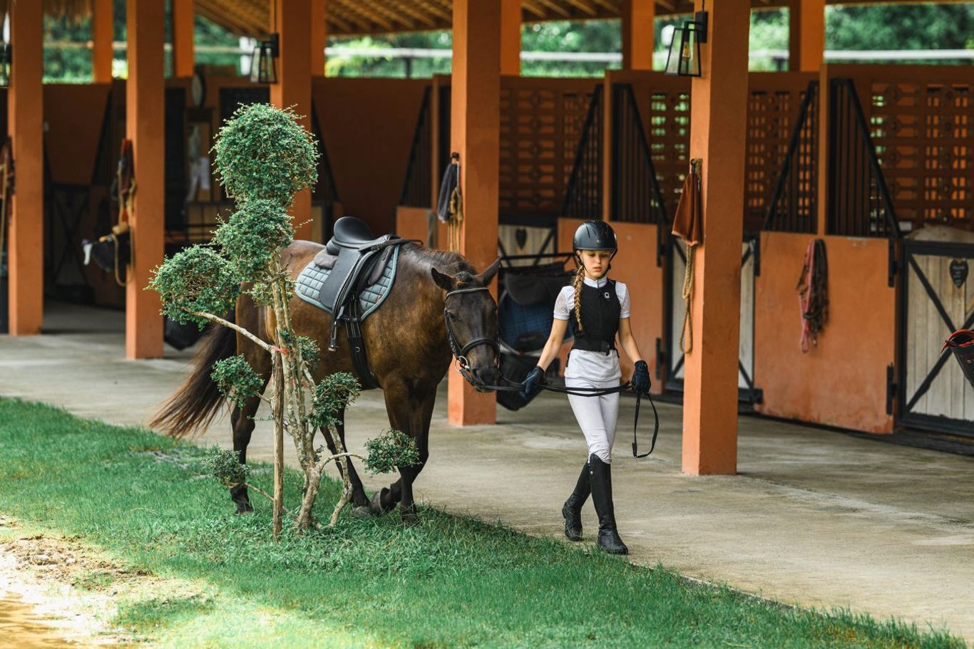 Equestrian Hype: The Rise of Horse Culture in Phuket | Prestige Online ...