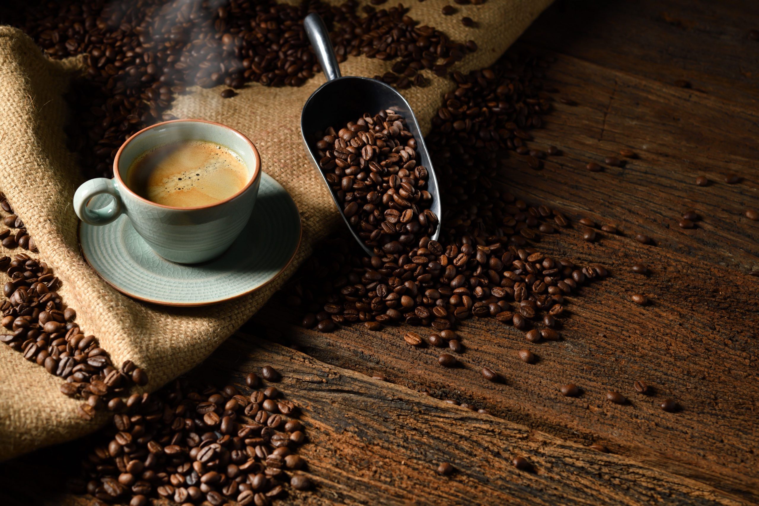 Brew the Future: Thailand's Burgeoning Coffee Culture