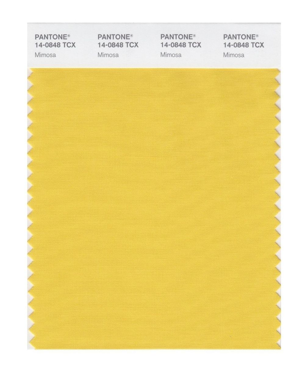 Every Pantone Color of the Year From 2000 to 2026 – PrestigeOnline Thailand