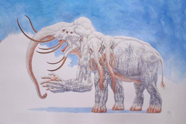 Who invented Labubu? Meet Hong Kong artist Kasing Lung