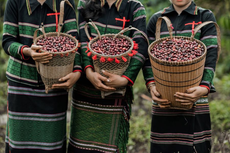 The Evolution of Coffee Culture in Cambodia with Three Corner Coffee