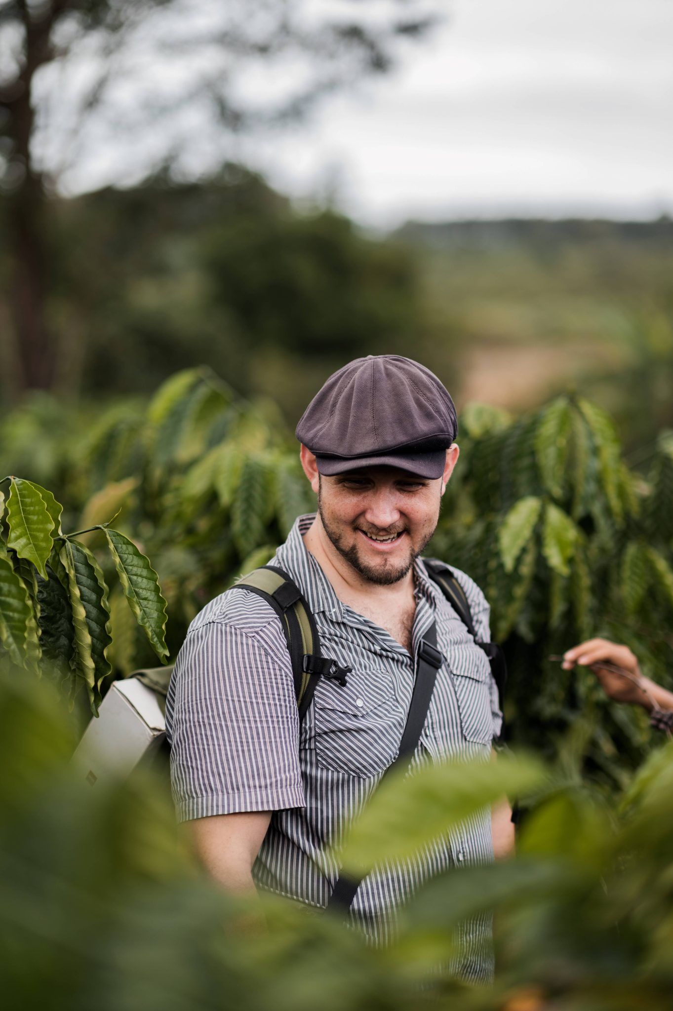 The Evolution of Coffee Culture in Cambodia with Three Corner Coffee